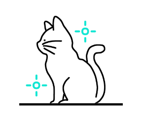 What Does It Mean When A Cat Wraps Its Tail Around Your Arm?
